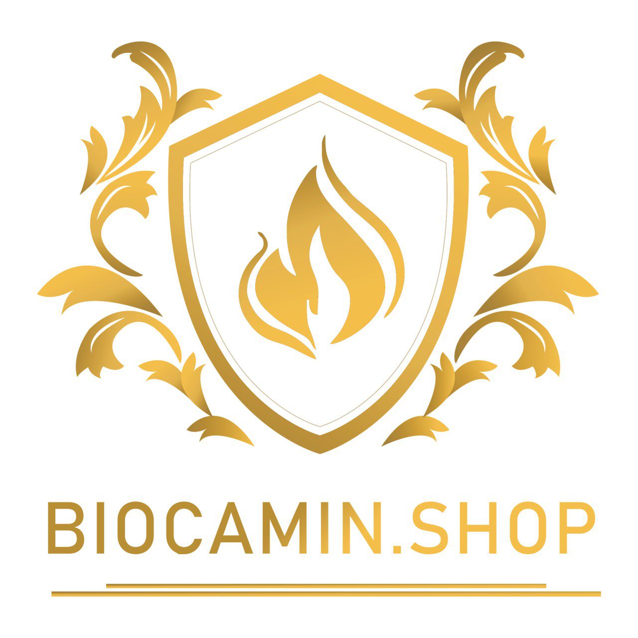 Каталог биокаминов — широкий выбор | BioCamin.shop